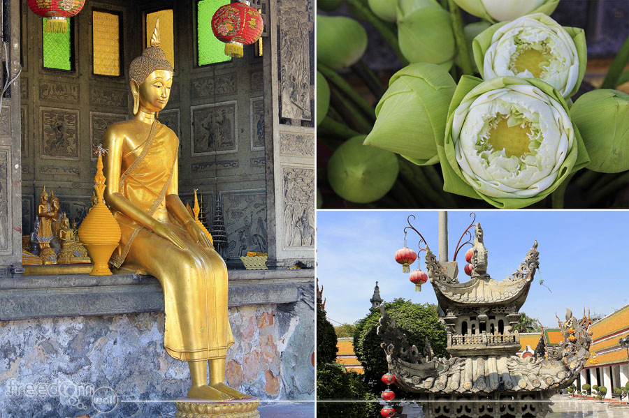 Startled in Wat Suthat - Freedom Wall