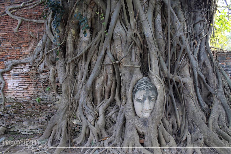 The Ruins of Wat Maha That | Freedom Wall