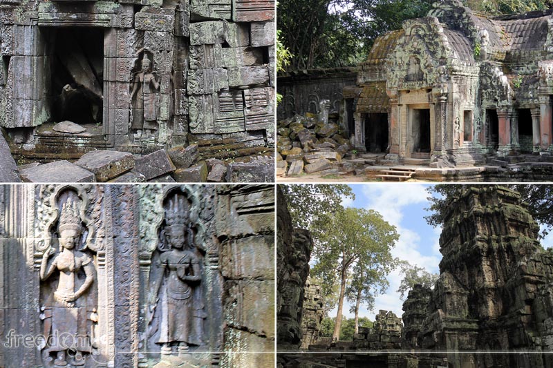 The Sprawling Roots of Ta Prohm | Freedom Wall