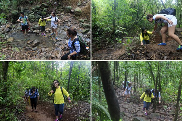 A Foggy Ascent at Pico De Loro's Summit | Freedom Wall
