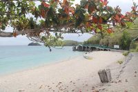 Sambawan Island Travel Guide: How to Get There | Freedom Wall