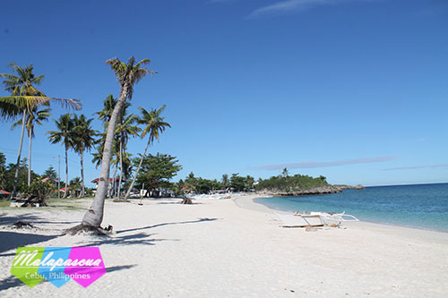 Malapascua Travel Guide and the Not-so-ordinary Island Life | Freedom Wall