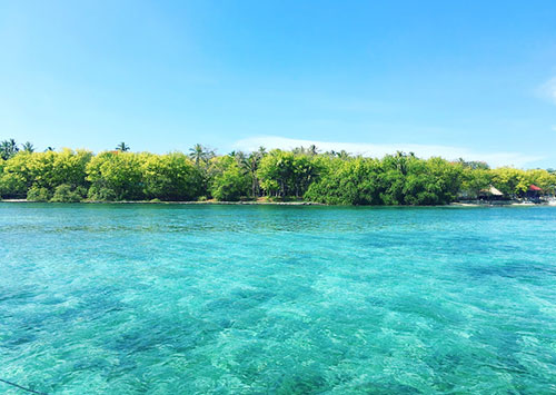 Island Hopping in Mactan, Cebu: A Travel Guide | Freedom Wall