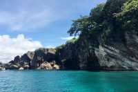 Danjugan Island Travel Guide: More Than a Wildlife Sanctuary | Freedom Wall
