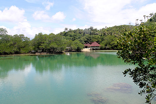 Danjugan Island Travel Guide: More Than a Wildlife Sanctuary | Freedom Wall