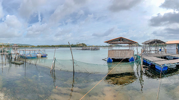 The Mystic Subic Beach, Sorsogon: A Travel Guide | Freedom Wall