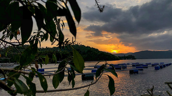 The Mystic Subic Beach, Sorsogon: A Travel Guide | Freedom Wall