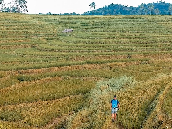 Cadapdapan Rice Terraces, Can-Umantad Falls, and Canawa Spring: A ...