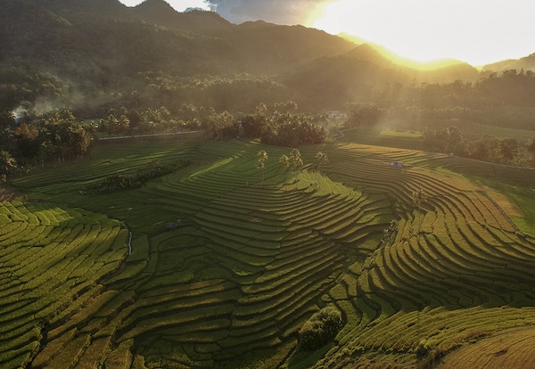Cadapdapan Rice Terraces, Can-Umantad Falls, and Canawa Spring: A ...