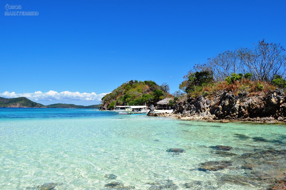 My Love Affair on the Road | Freedom Wall